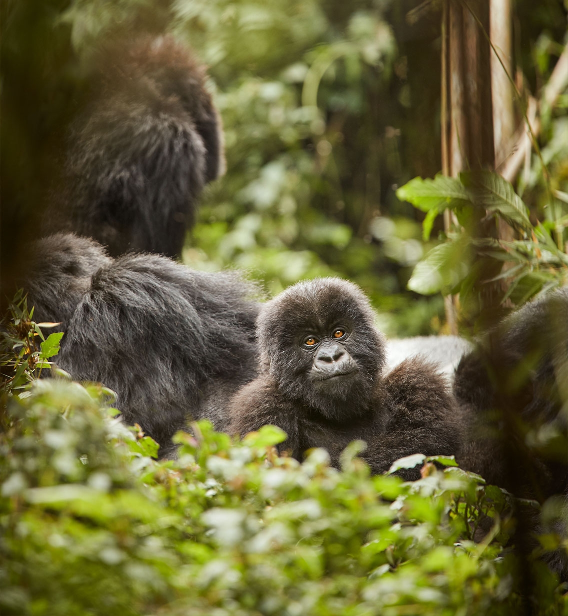 Where next? Elegant Resort's Ben Murtagh on his next adventure - News