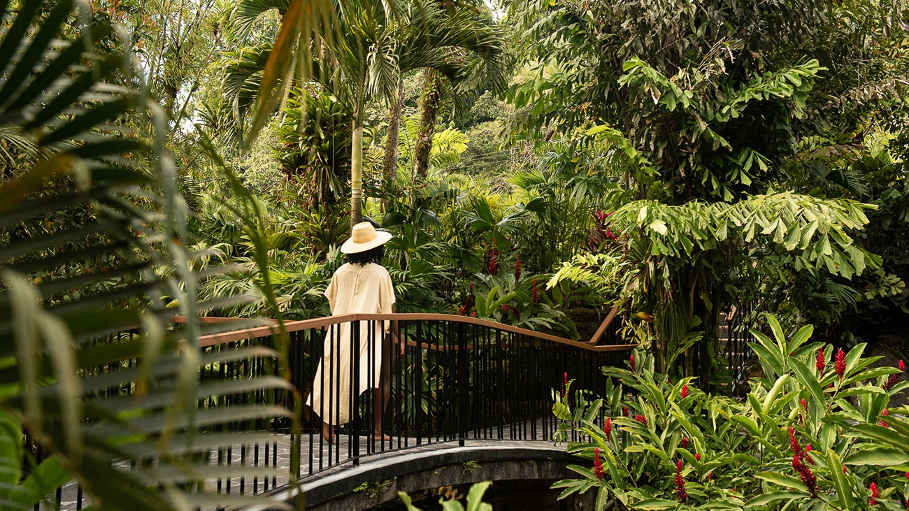 Small Luxury Hotels of the World unveils sustainable collection - News
