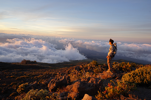 Intrepid Travel launches Hawaii wildfires appeal and donates $40,000 - News