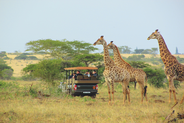 Travelsphere introduces new tours for 2024-25 - News