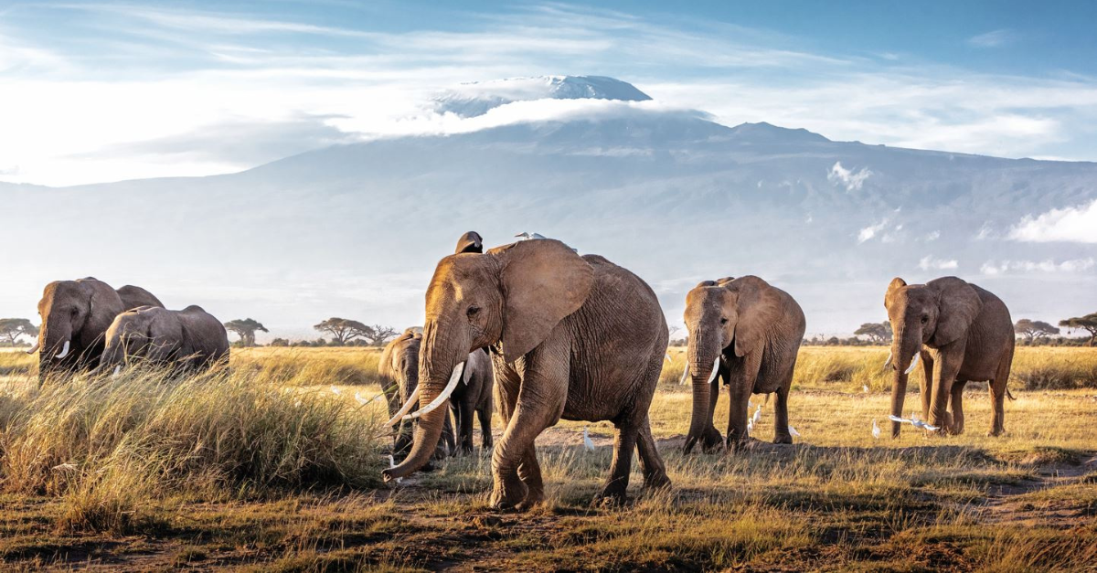 Tui releases ‘biggest-ever’ tour programme for summer 2025 - News