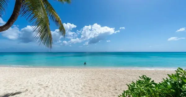 Win a spot on a Cayman Islands fam!