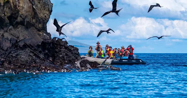 An adventure to Galápagos with HX, through an agent’s eyes